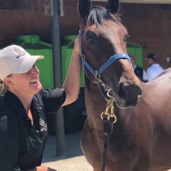 SALES WRAP UP | News - Breckon Farms