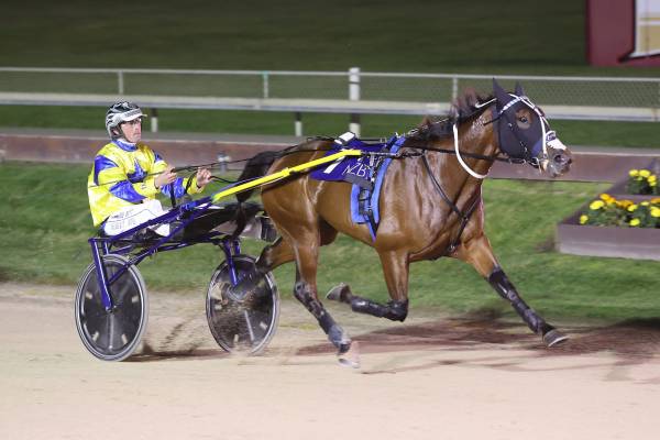 May Race Track Performances | News - Breckon Farms
