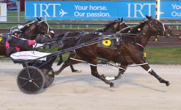 September Race Track Performances | News - Breckon Farms