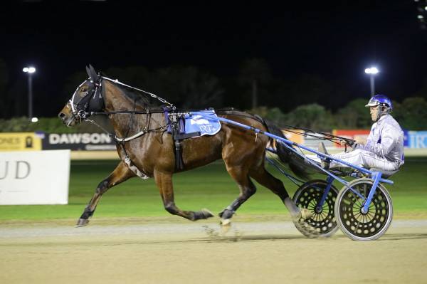 June Race Track Performances | News - Breckon Farms