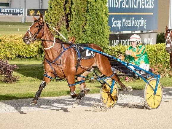 News - Breckon Farms