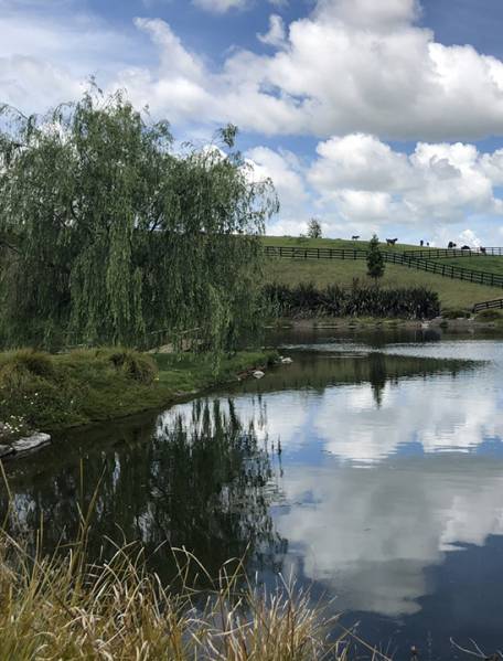 The Farm | Services - Breckon Farms