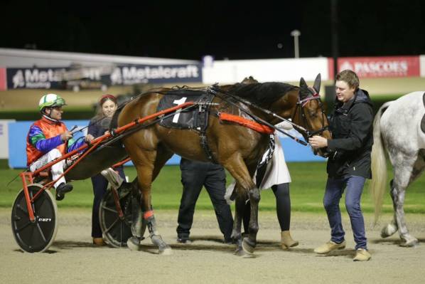 June Race Track Performances | News - Breckon Farms